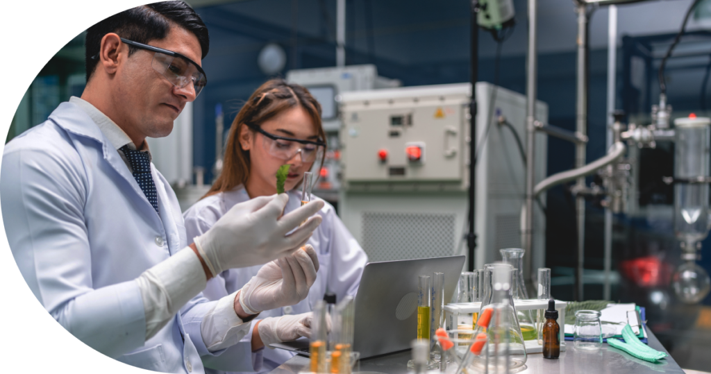 Cannabis Processing & Extraction Program | Cannavision Institute