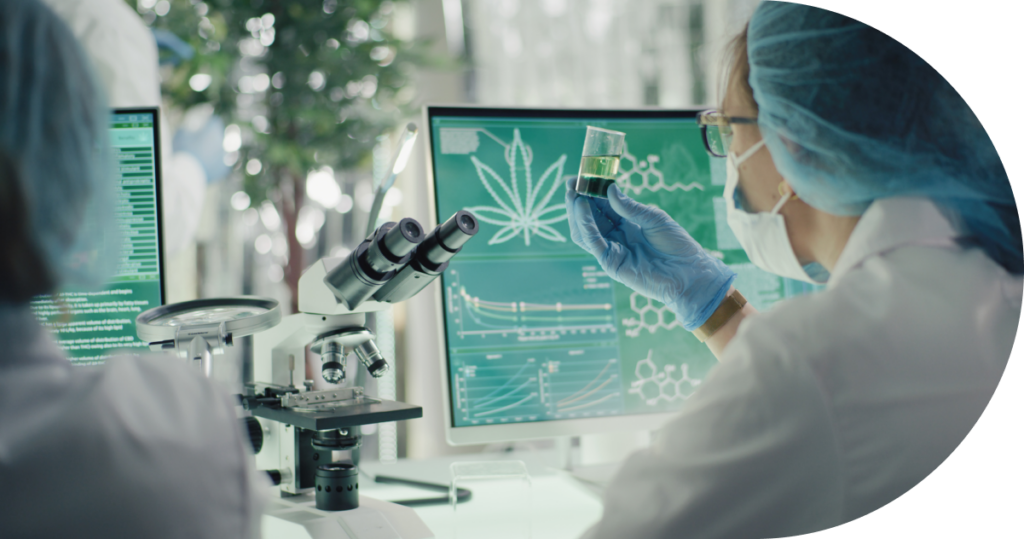The Future of Cannabis Education | Cannavision Institute